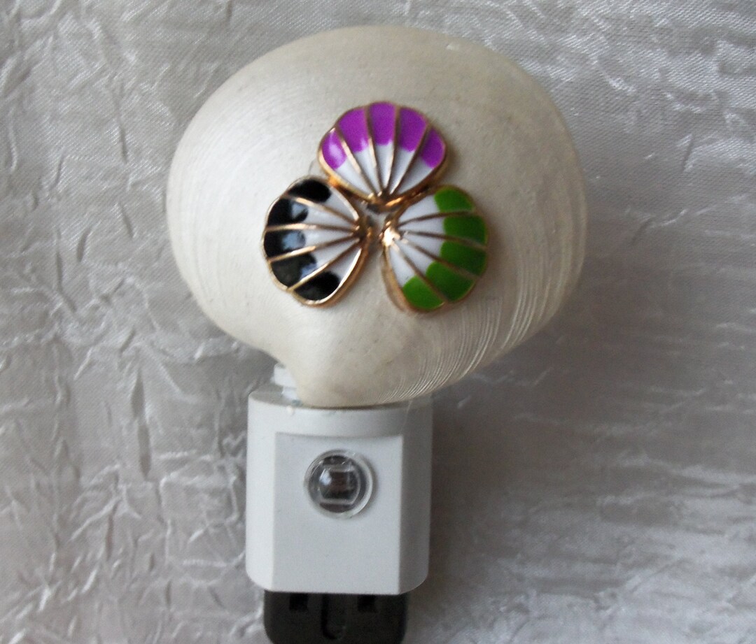 Shell Night Light, Sea Shell Nightlight, Motion Sensor, Polished Shell ...