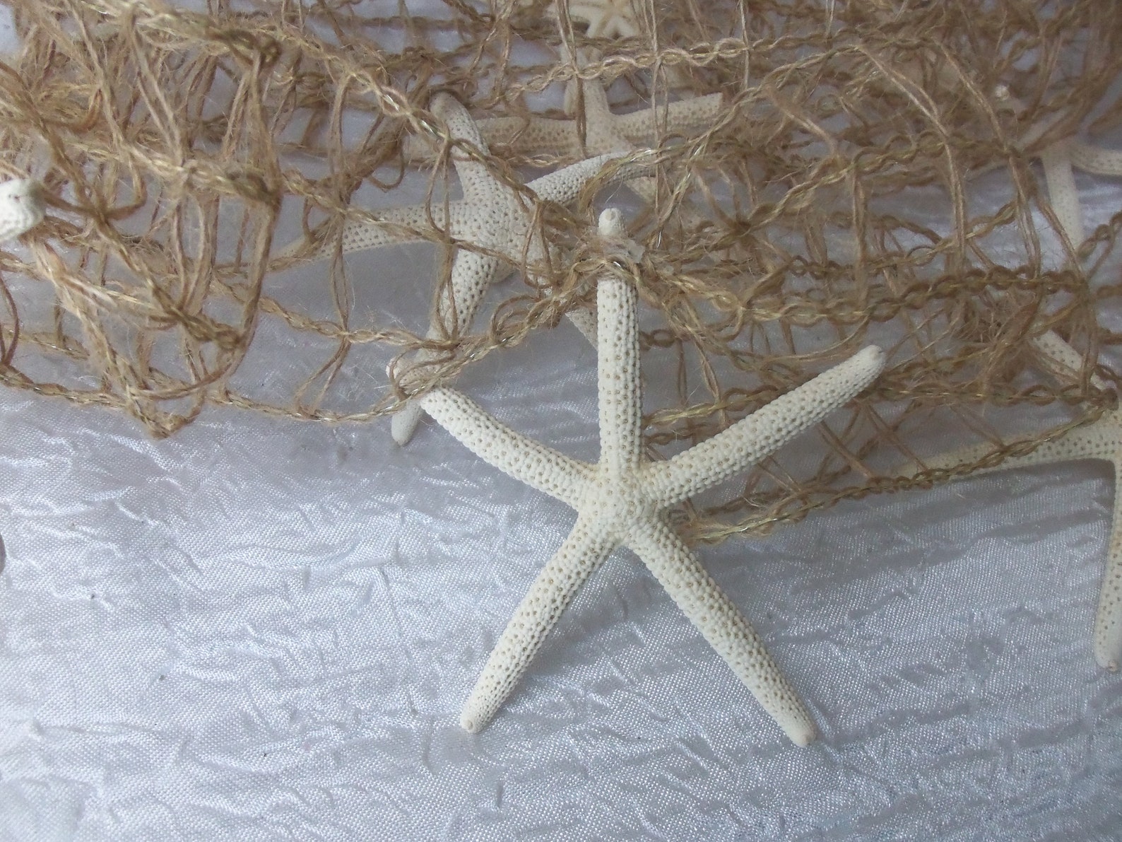 10 Ft. Starfish Garland Natural Starfish Net Garland White | Etsy