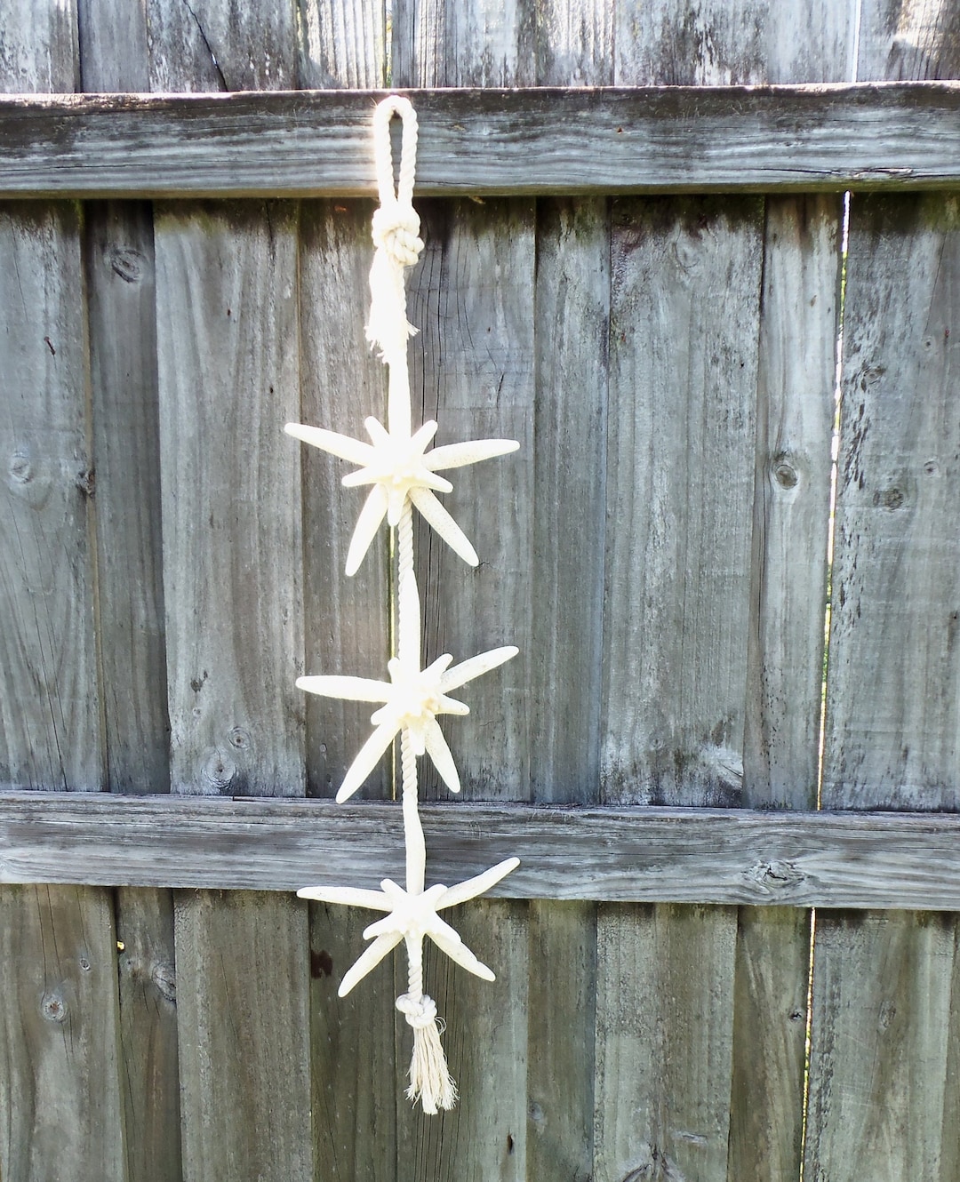 Natural Starfish Door Hanger, Starfish Wall Hanger, 36 Long, Nautical ...