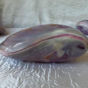 Polished Oyster Shell, 5" Long, Pair of Polished Oyster Shell, Polished ...