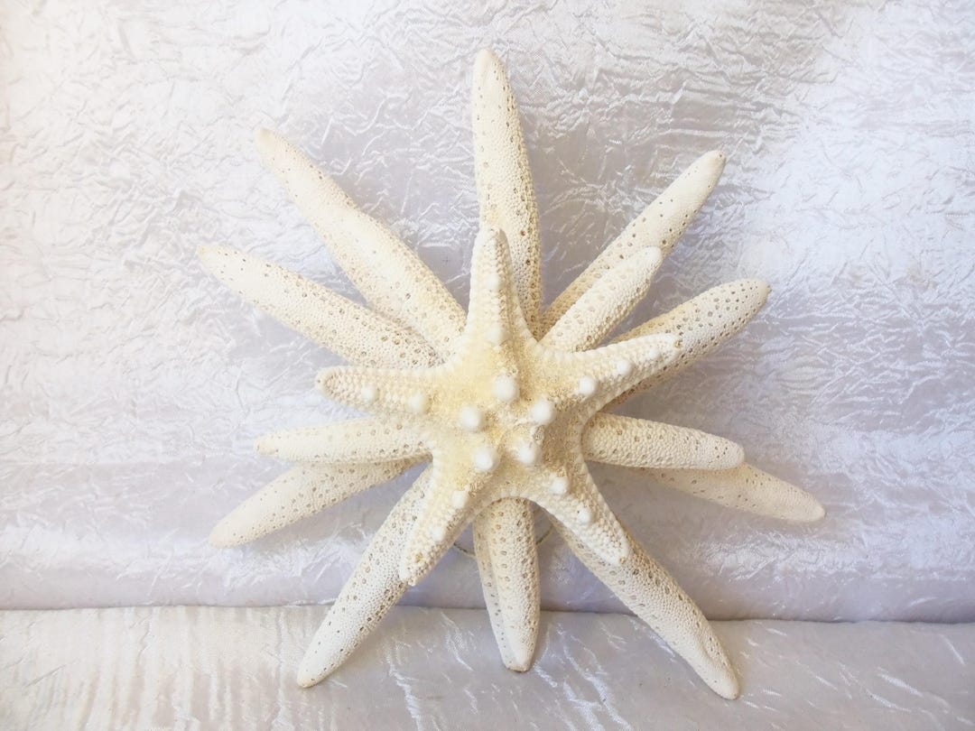 Starfish Tree Topper, 8" Large, Nautical, Tropical, Tree Topper ...