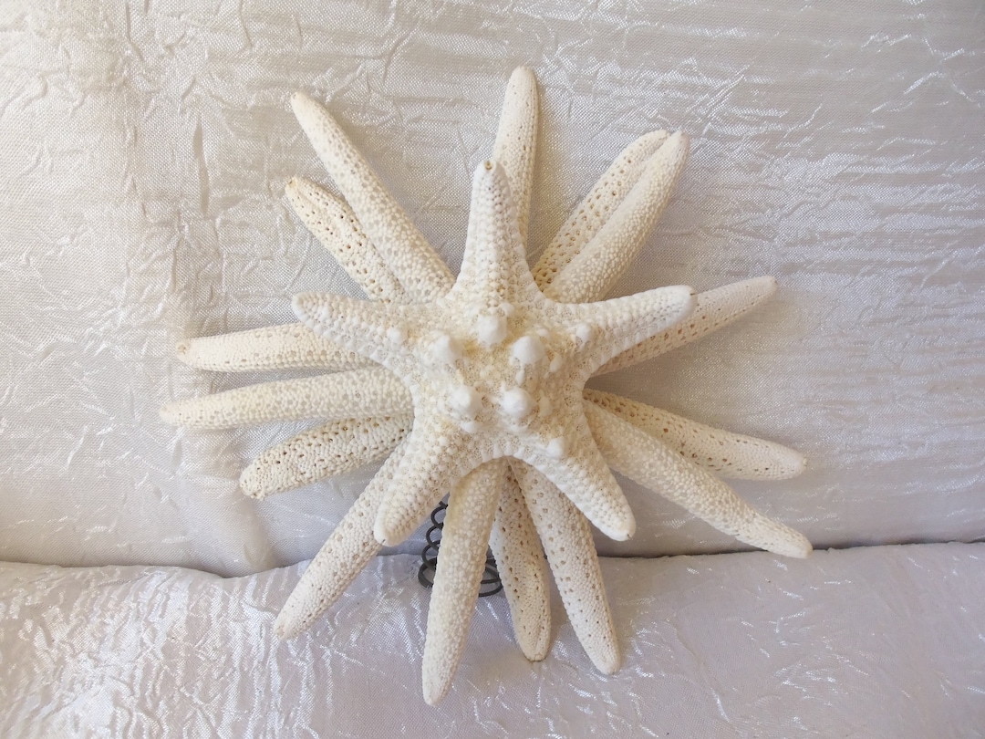 Starfish Tree Topper, Coastal, Nautical, Tree Topper, Christmas Tree ...