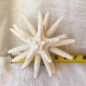 Starfish Tree Topper, Coastal, Nautical, Tree Topper, Christmas Tree ...