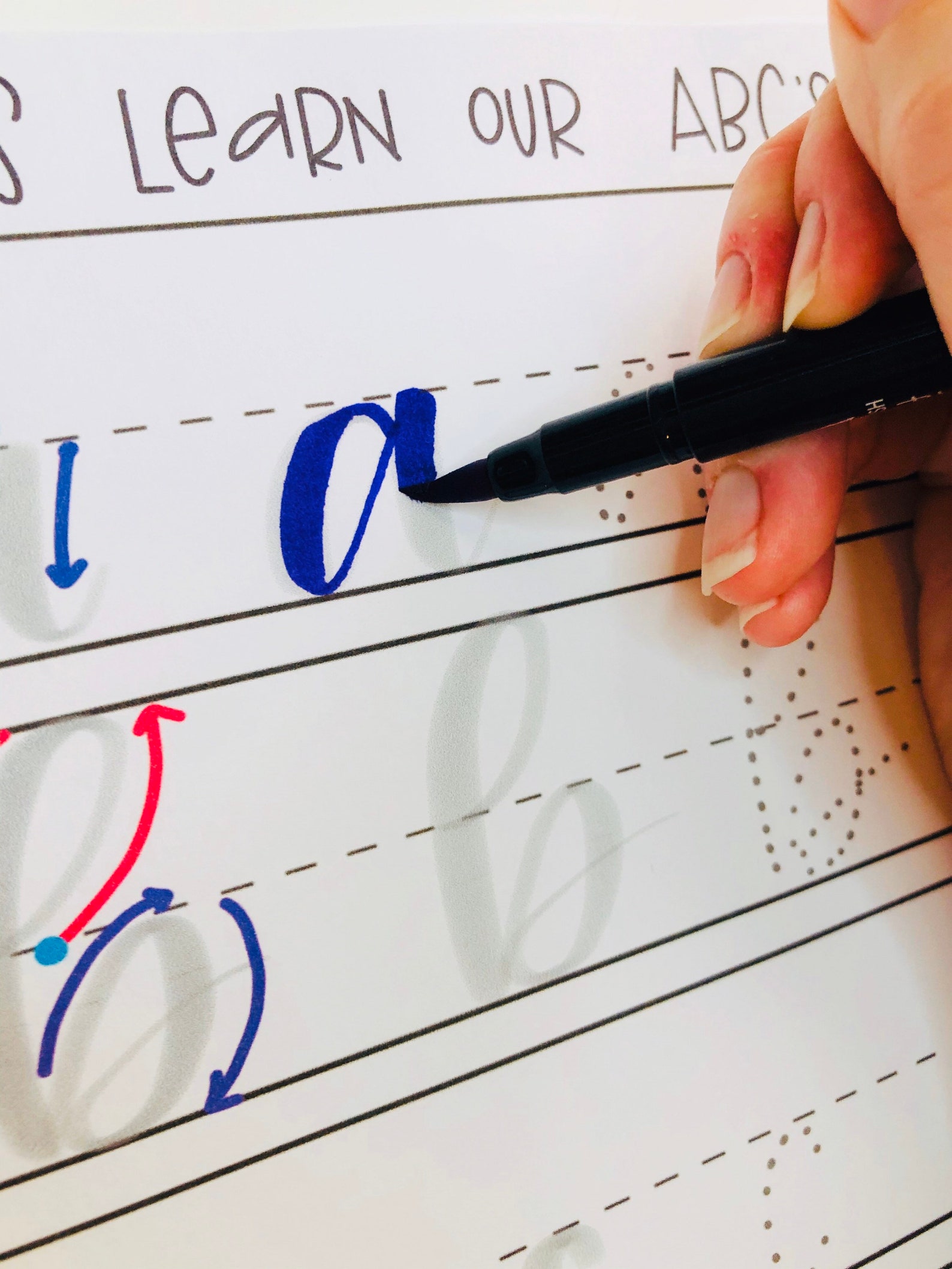 Hand Lettering Bundle Learn Lettering Bundle Beginner - Etsy