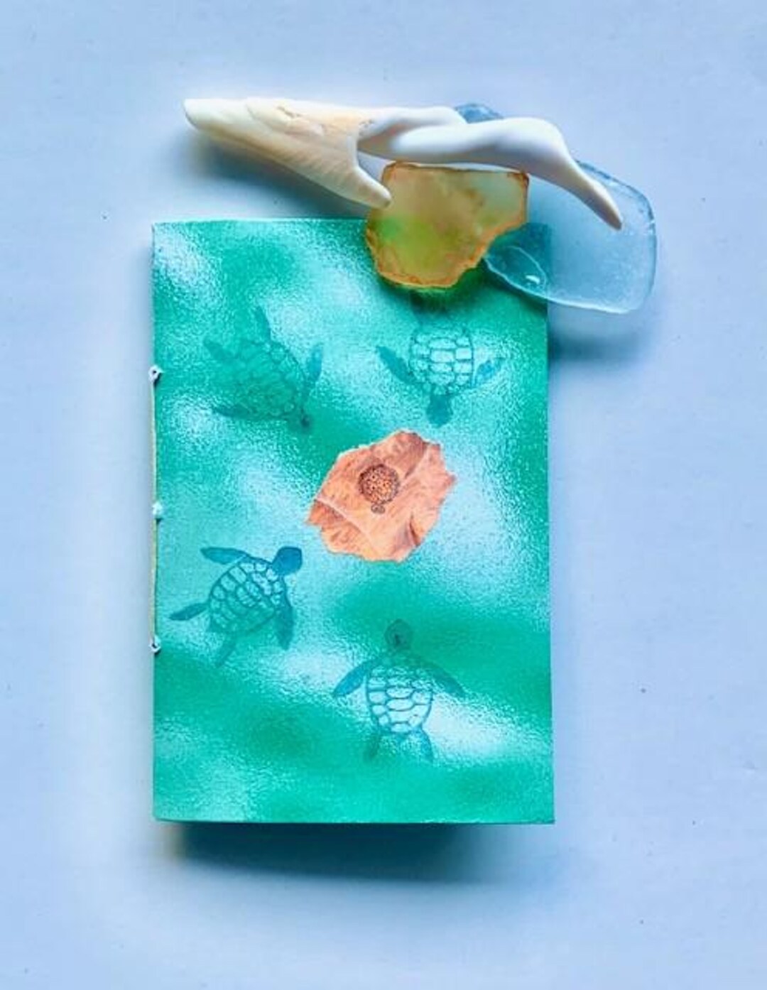 Sea Turtle Journal - Etsy