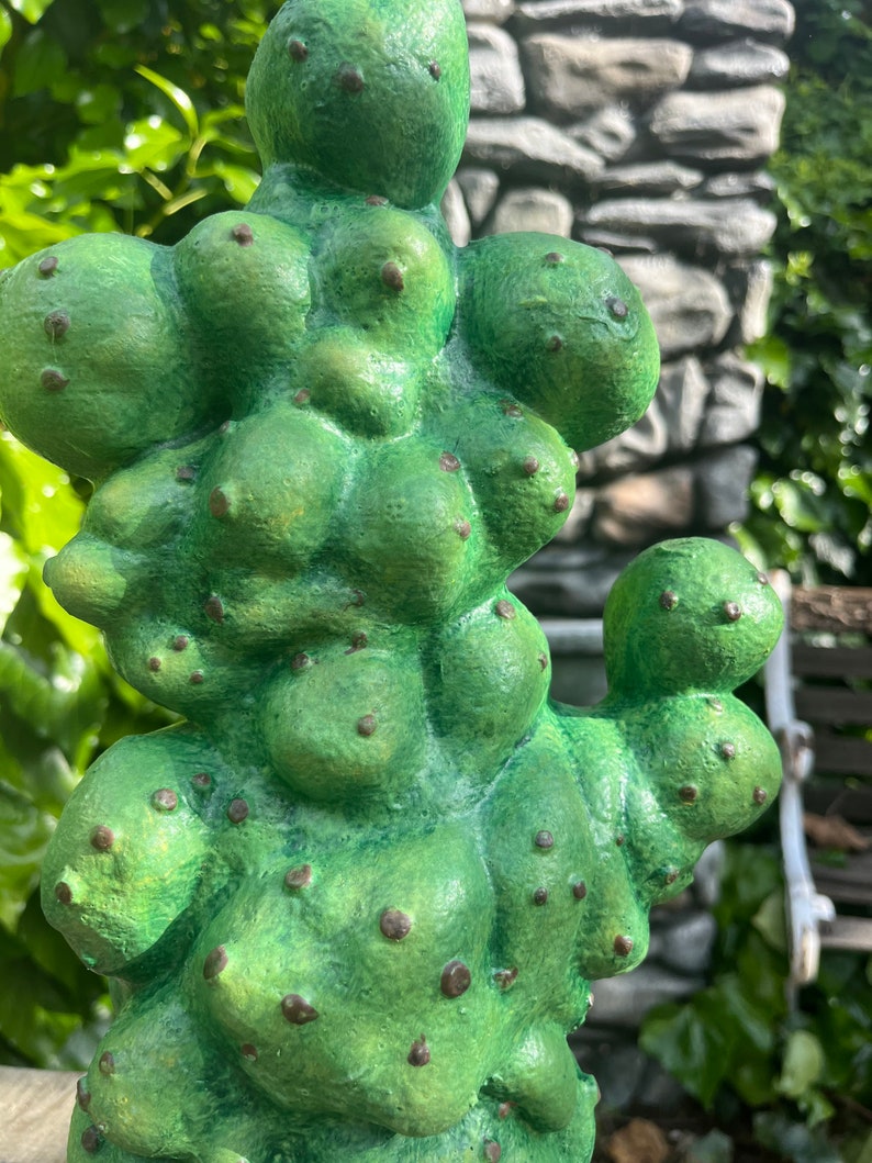 Mimbulus Mimbletonia / Harry Potter Cactus Prop / Hogwarts Legacy - Etsy