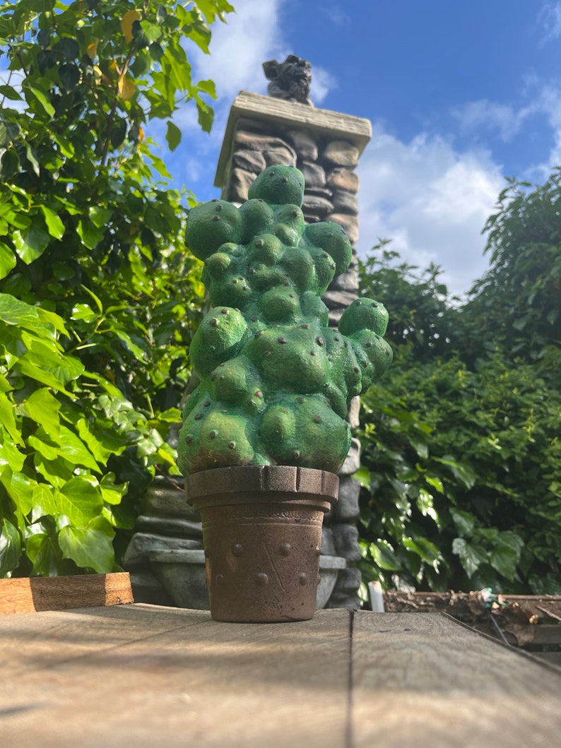 Mimbulus Mimbletonia / Harry Potter Cactus Prop / Hogwarts Legacy - Etsy