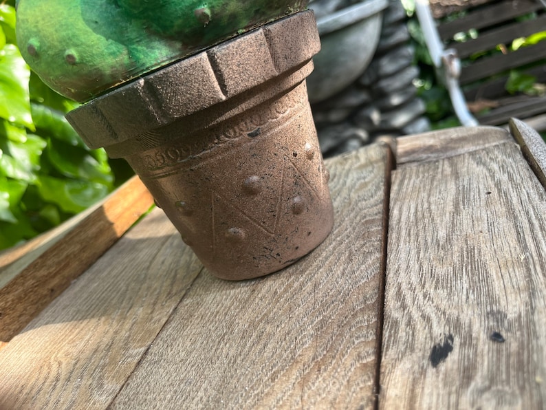 Mimbulus Mimbletonia / Harry Potter Cactus Prop / Hogwarts Legacy - Etsy