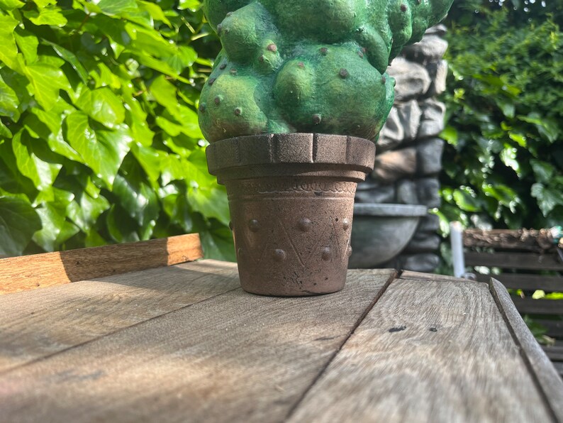 Mimbulus Mimbletonia / Harry Potter Cactus Prop / Hogwarts Legacy - Etsy