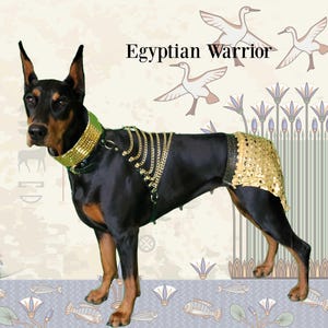 Cleopatra, Egyptian, Big Dog Costumes, Festival, Parade Costume ...