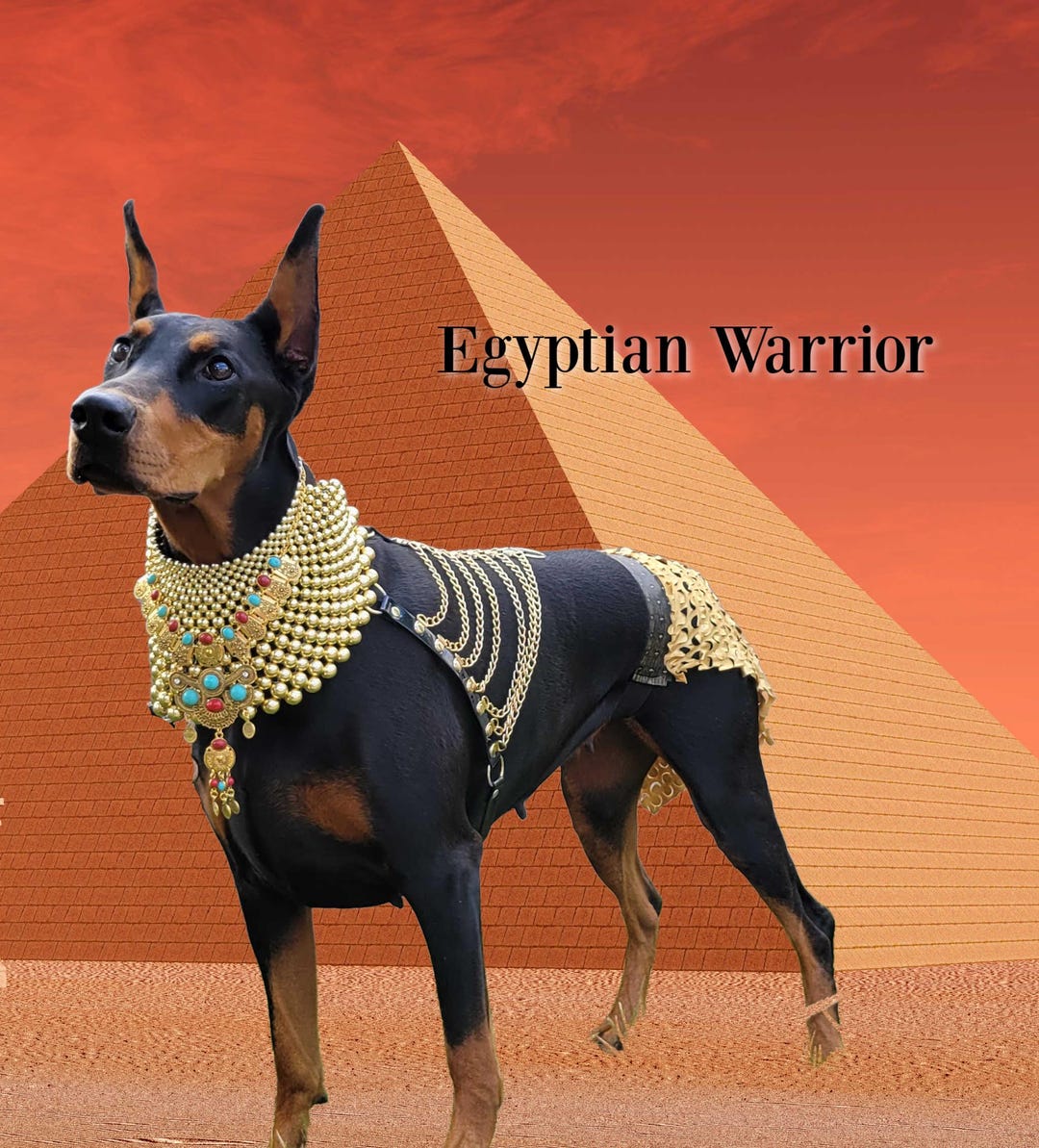 Cleopatra, Egyptian, Big Dog Costumes, Festival, Parade Costume ...