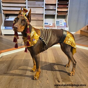 Cleopatra, Egyptian, Halloween Costume for Large Dogs, Cosplay ...