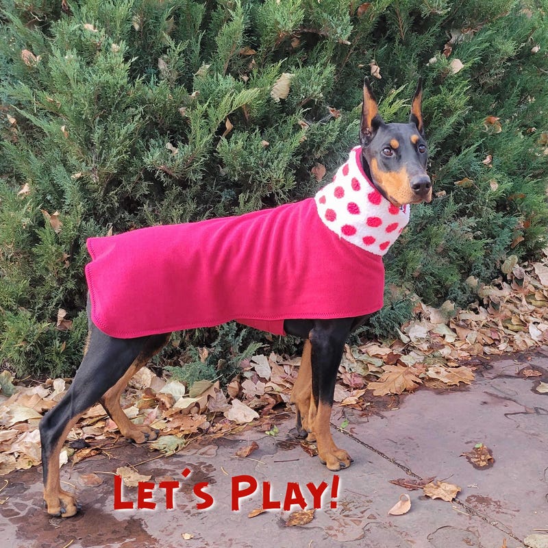 Doberman Coat - Etsy