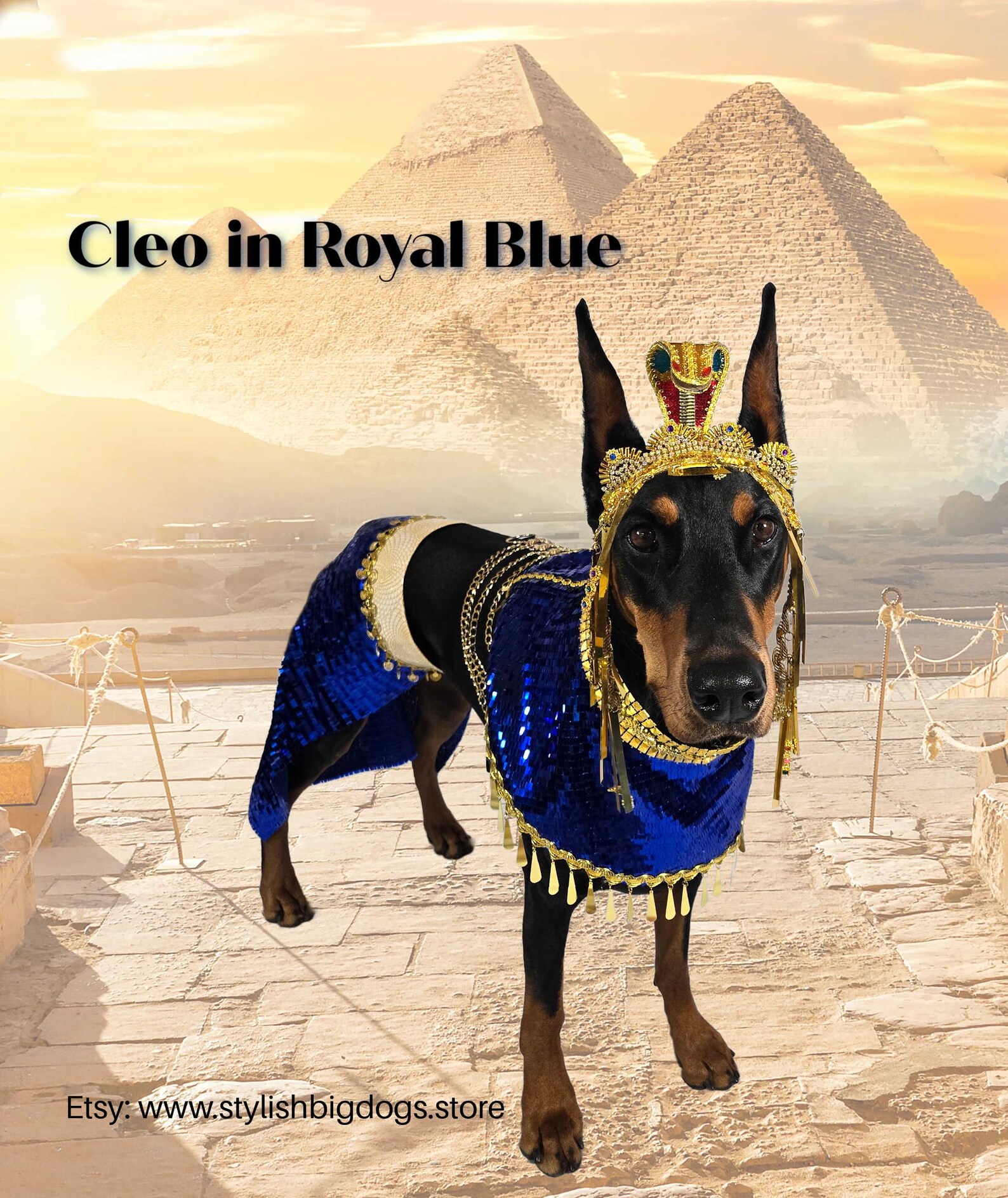 Cleopatra, Egyptian, Halloween Costume for Large Dogs, Cosplay ...