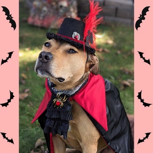 Dracula Dog Costume: Gothic Vampire Cape for Big Dogs - Etsy