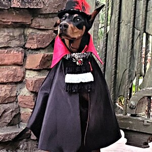 Dracula Dog Costume: Gothic Vampire Cape for Big Dogs - Etsy