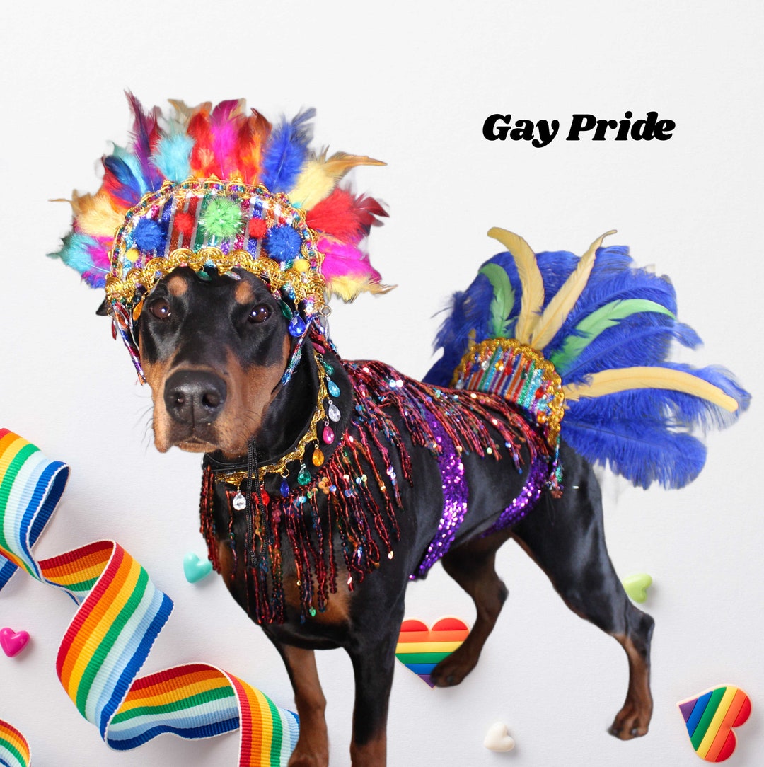 Rainbow Pride Dog Costume: LGBTQ Festival Parade Outfit - Etsy