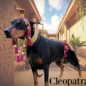 Cleopatra, Egyptian, Halloween Costume for Large Dogs, Cosplay ...
