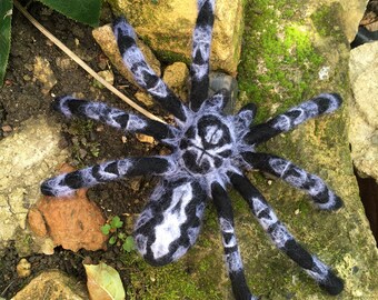 Large Tarantula Crochet Pattern