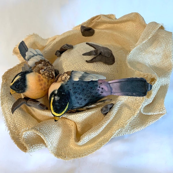 Bird Nest Hat - Etsy