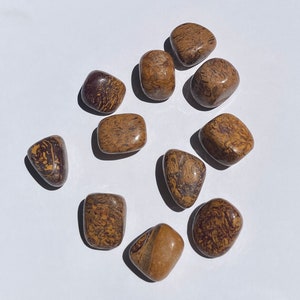 Elephant Skin Jasper Tumbled Stone | Calligraphy Stone | Mariam Jasper ...