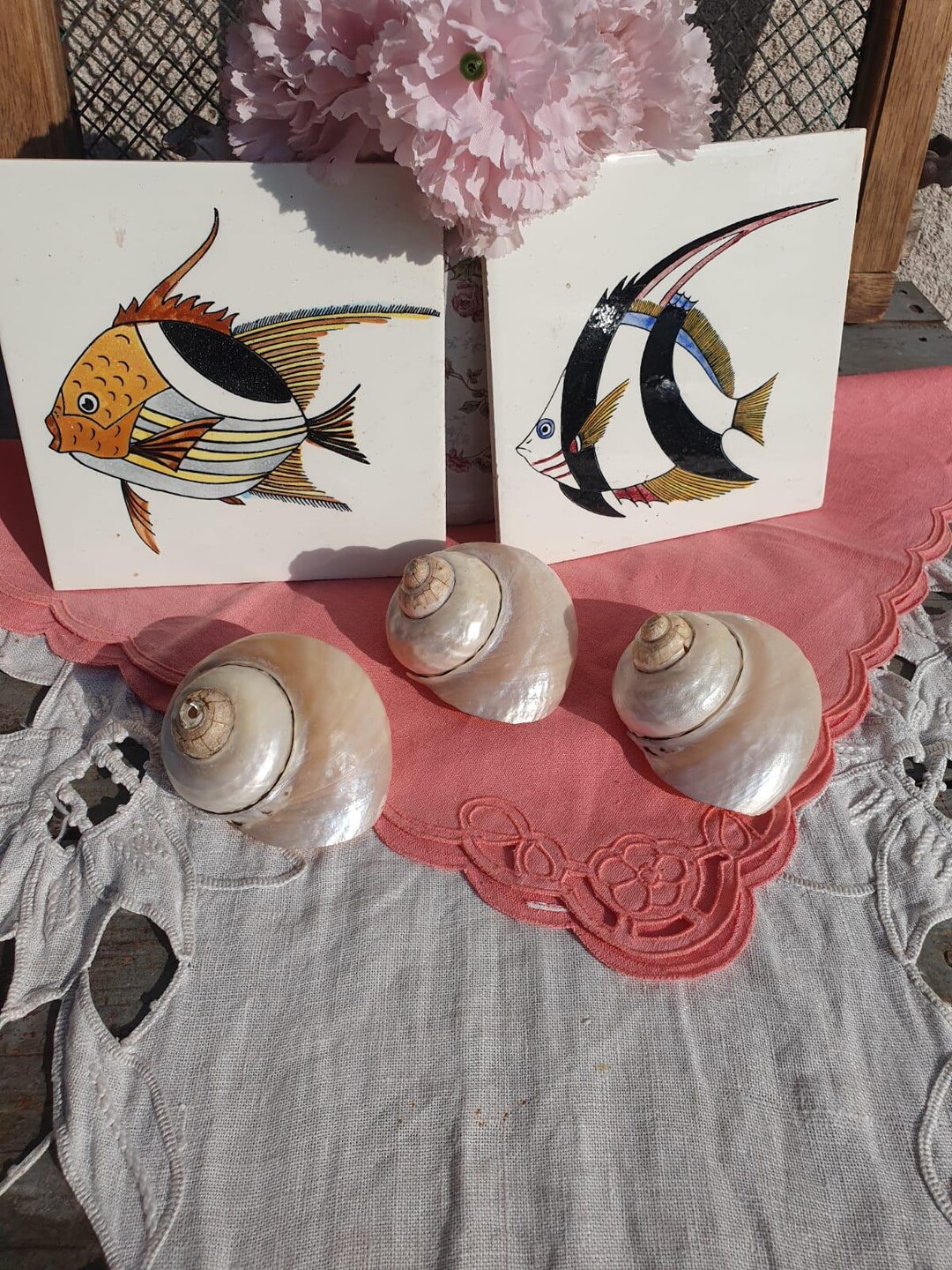 Old Pearly Turbo Shells Snail-shaped Sea Shells in Mother-of-pearl ...
