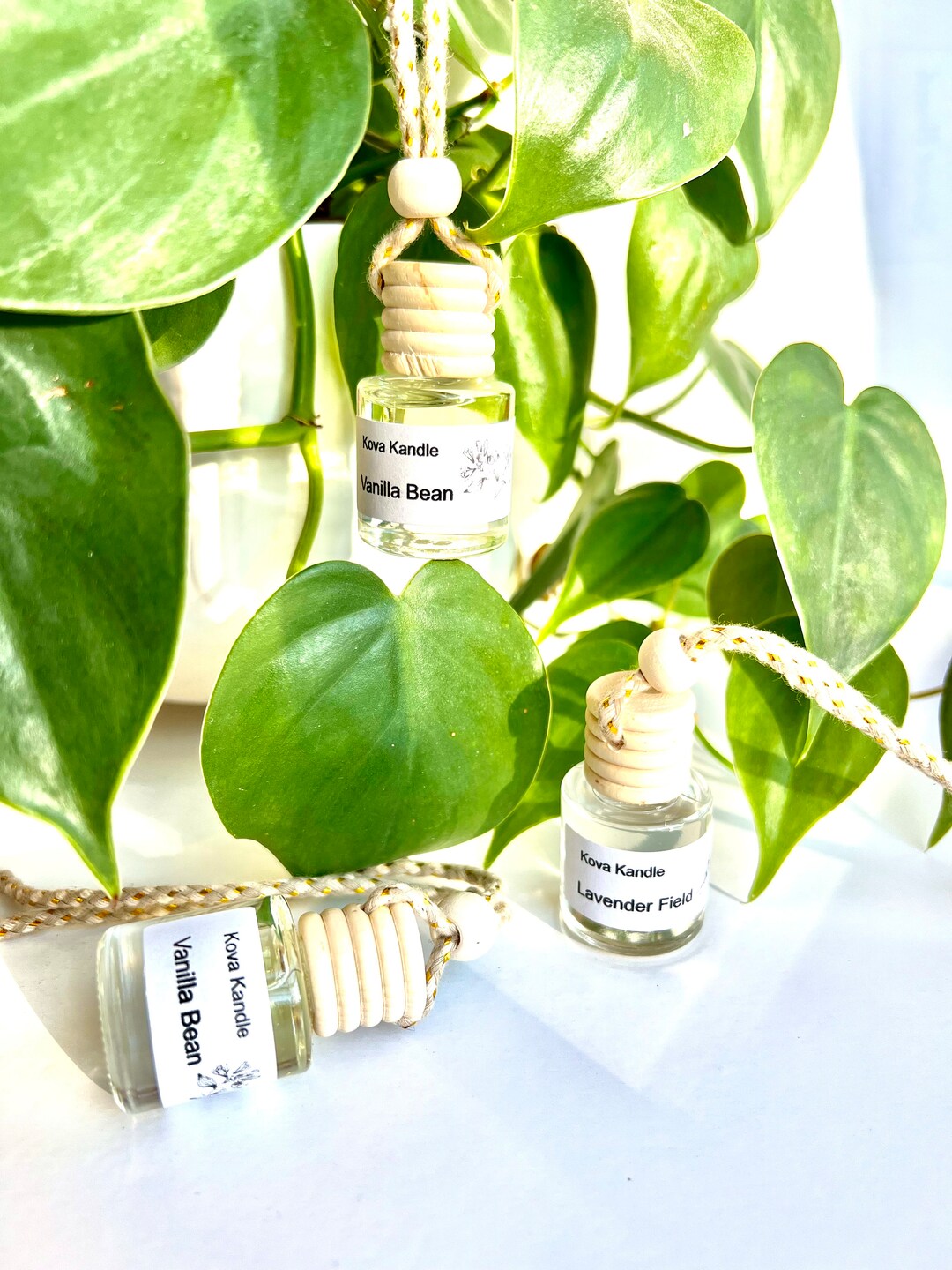 Car Hanging Diffuser - Etsy