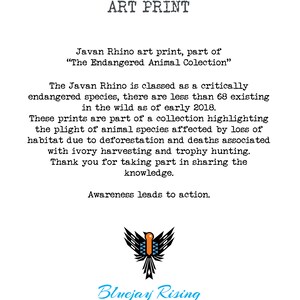 A4 Picture Print, Critically Endangered Javan Rhino . Hand Signed on ...