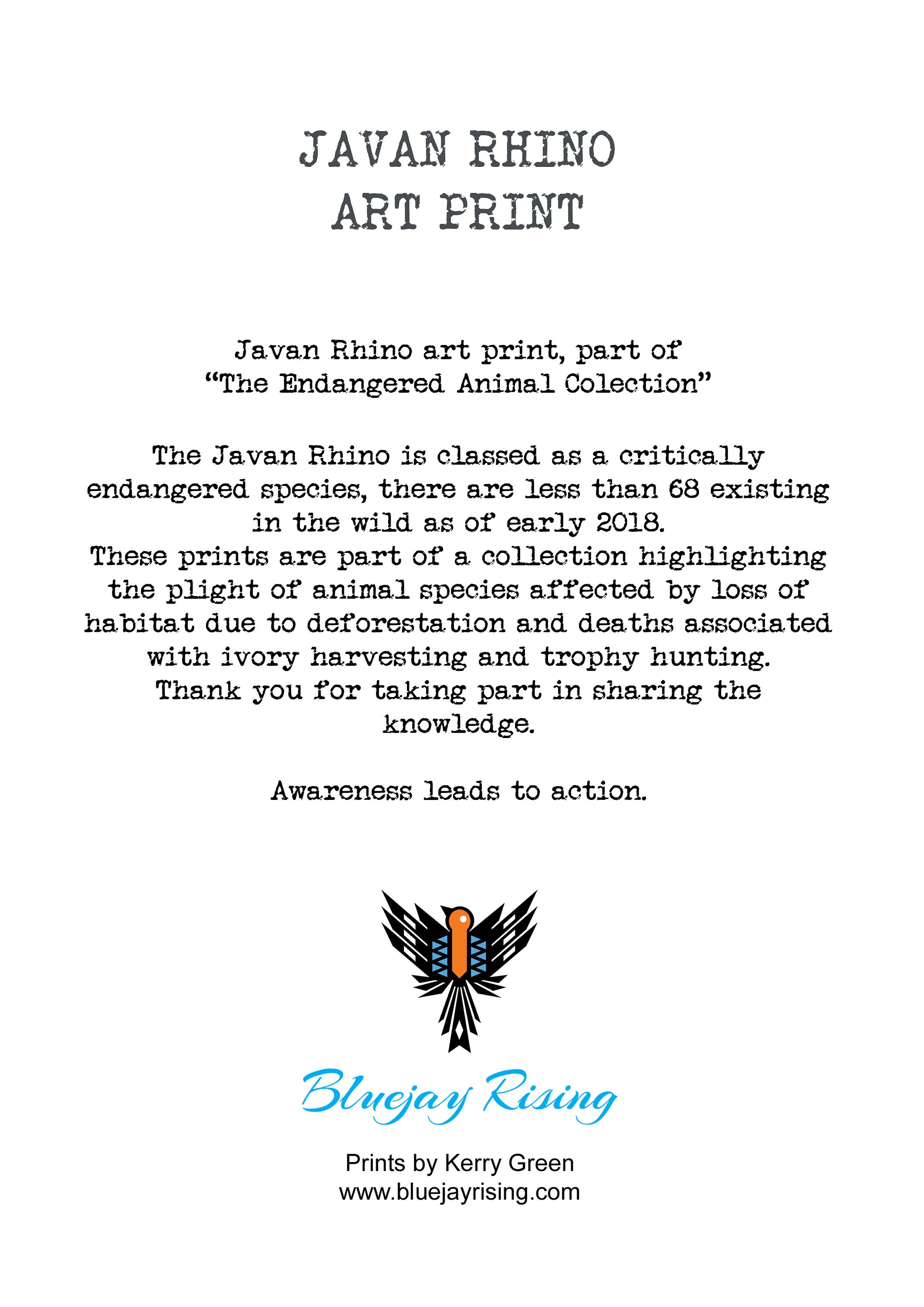 A4 Picture Print Critically Endangered Javan Rhino . Hand - Etsy