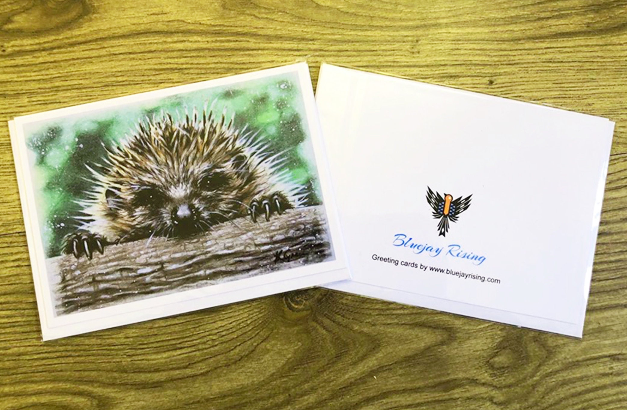 A6 Pack of 4 Wildlife Greetings Cards. Prints of Hand Drawn Images ...
