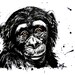 Chimpanzee Greetings Card 5x 7. Endangered Animal Series Artwork - Etsy