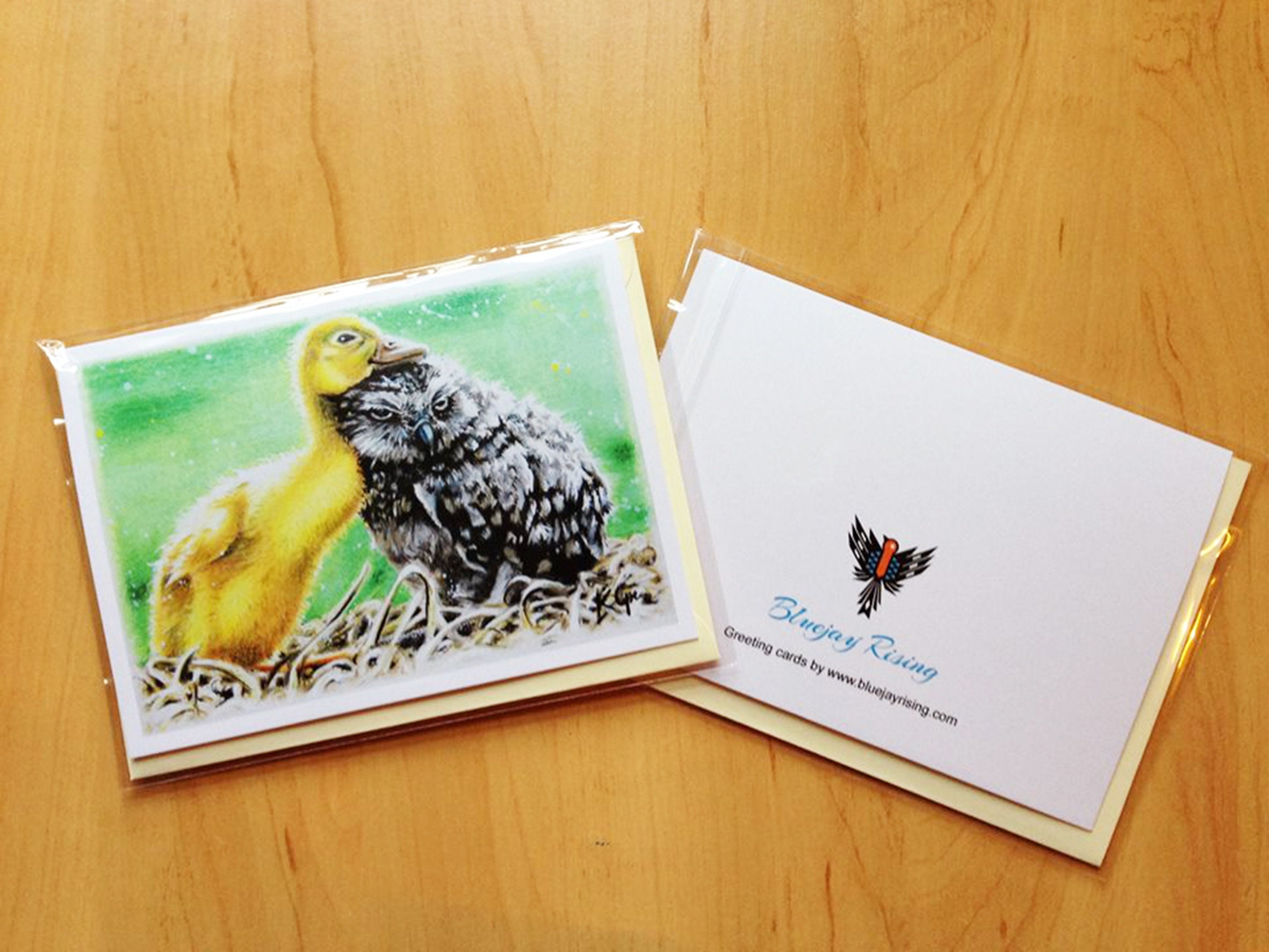 A6 Pack of 4 Wildlife Greetings Cards. Prints of Hand Drawn Images ...
