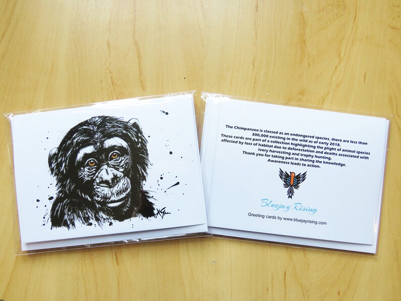 Chimpanzee Greetings Card 5"x 7". Endangered Animal Series Artwork - Etsy