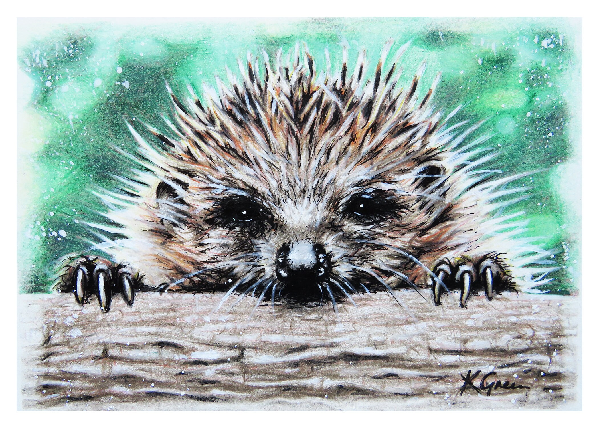 A6 Pack of 4 Wildlife Greetings Cards. Prints of Hand Drawn Images ...