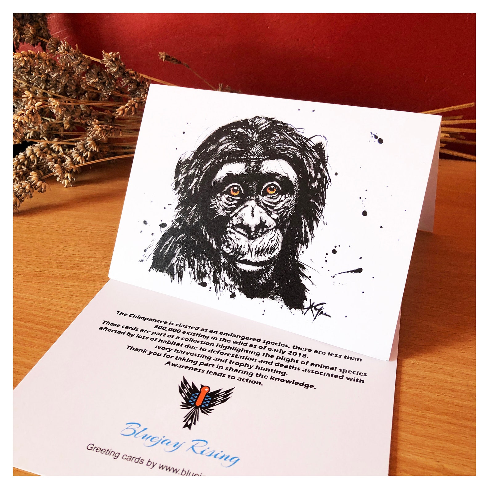 Chimpanzee Greetings Card 5"x 7". Endangered Animal Series Artwork - Etsy