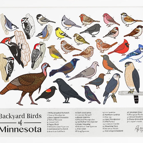 Minnesota Printable Backyard Birds of Minnesota Field Guide - Etsy