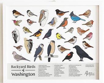 California - Printable Backyard Birds of California Field Guide Print ...