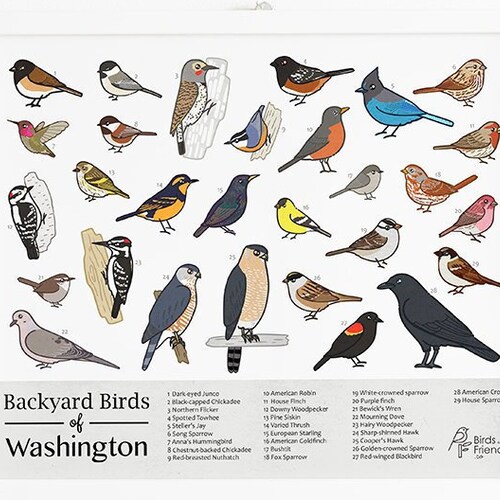 Washington State Printable Backyard Birds of Washington - Etsy