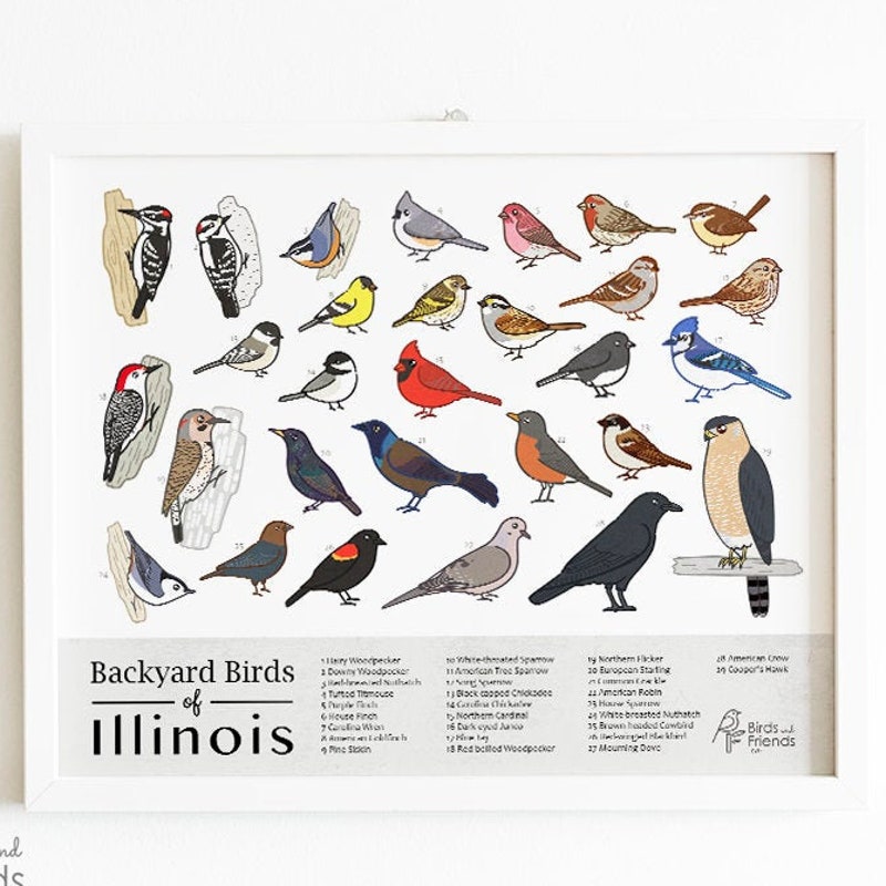 I Love Illinois - Etsy