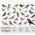 Minnesota Printable Backyard Birds of Minnesota Field Guide Print Bird ...
