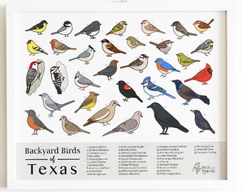 California Printable Backyard Birds of California Field Guide Print ...