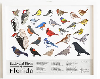 Florida Backyard Birds Field Guide Art Print / Watercolor | Etsy