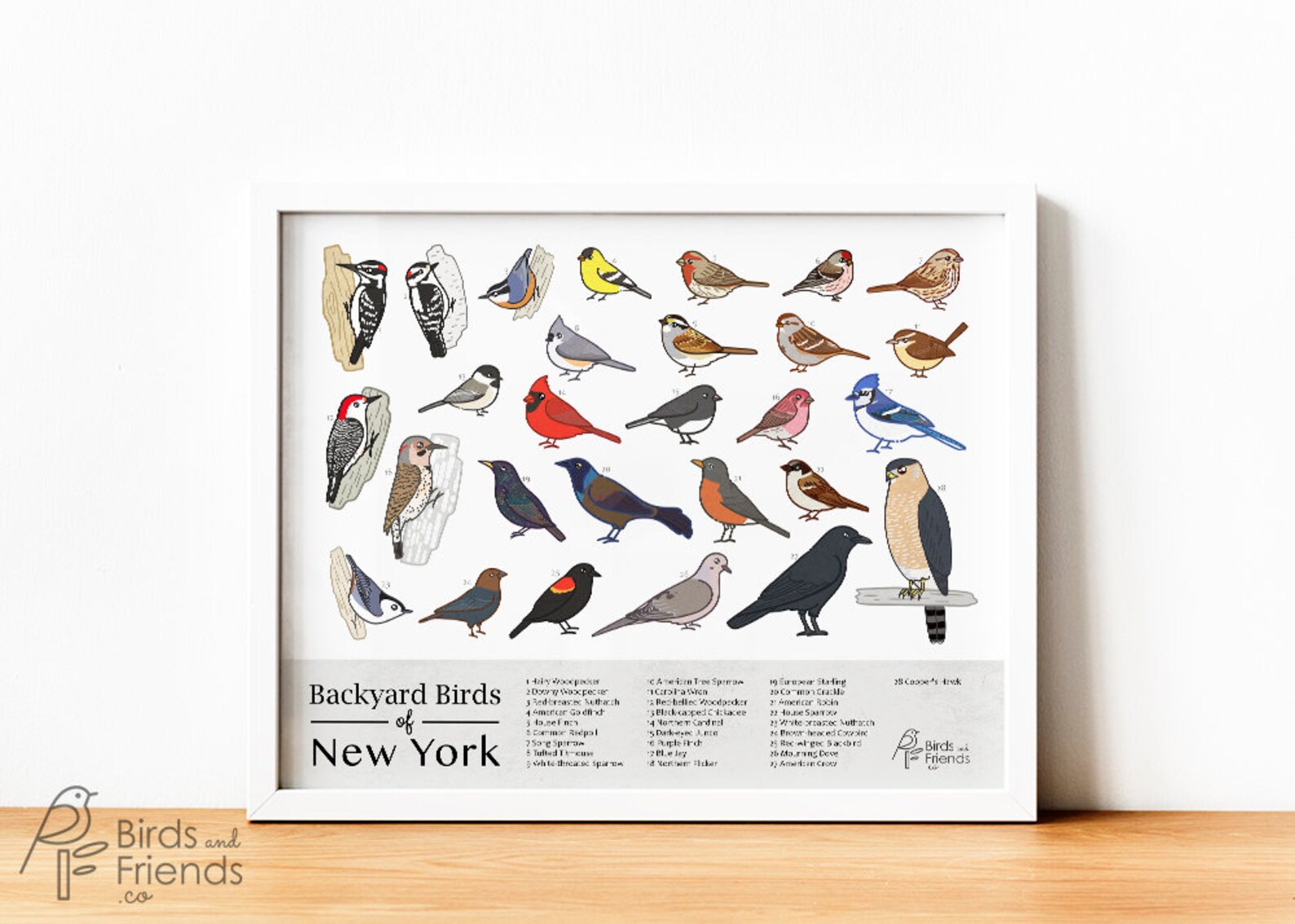 New York Printable Backyard Birds of New York Field Guide - Etsy