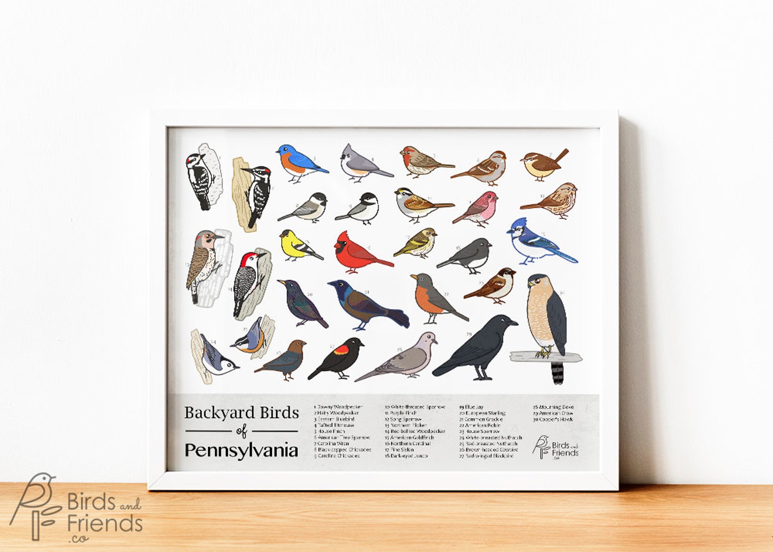 Pennsylvania Printable Backyard Birds of Pennsylvania Field Guide Print ...