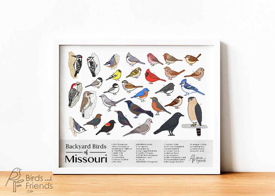 Missouri Printable Backyard Birds of Missouri Field Guide Print Bird ...