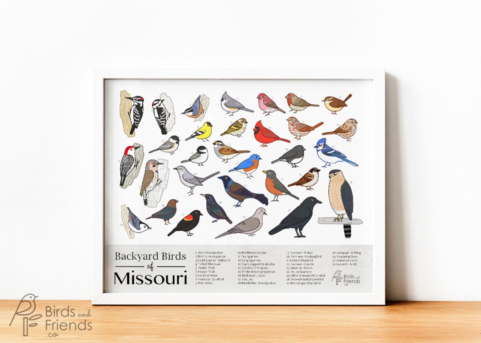 Missouri - Printable Backyard Birds of Missouri Field Guide Print ...