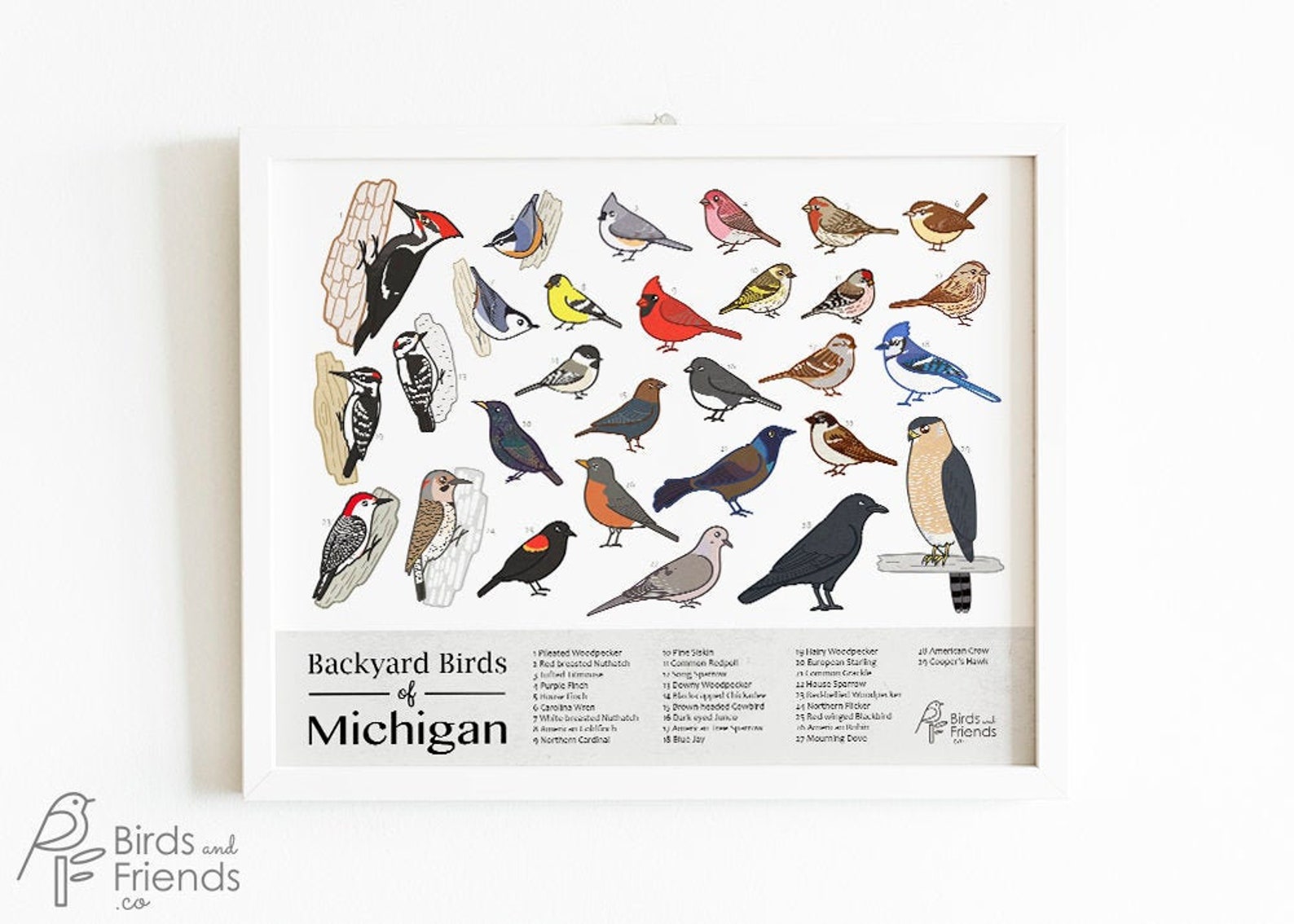Michigan - Printable Backyard Birds of Michigan Field Guide Print ...