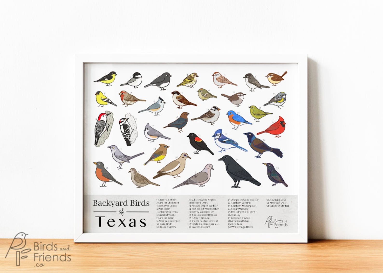 Texas - Printable Backyard Birds of Texas Field Guide Print - Printable ...