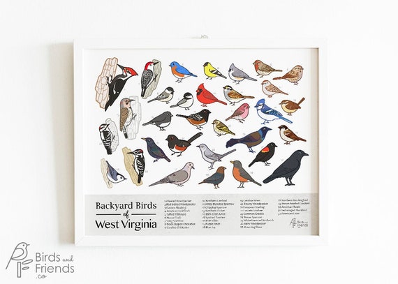 West Virginia Printable Backyard Birds of West Virginia - Etsy