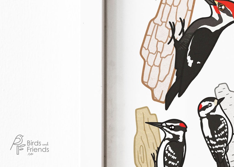 Indiana - Printable Backyard Birds of Indiana Field Guide Print - Bird ...